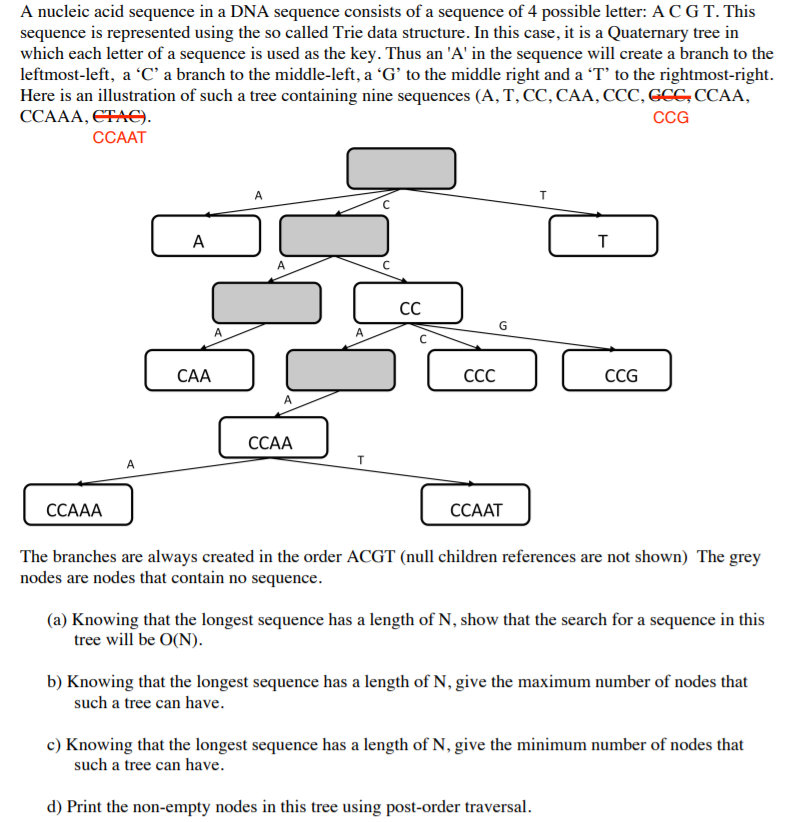 Solved A nucleic acid sequence in a DNA sequence consists of | Chegg.com