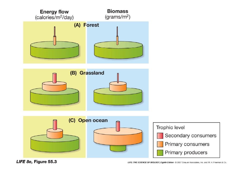 Solved The figure below shows the distribution of energy and | Chegg.com