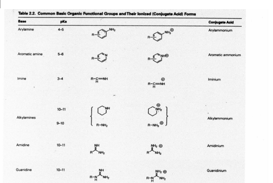 Solved NH 2A. (6 pts) Circle and label the 12 functional | Chegg.com