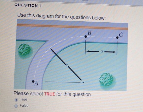 Solved QUESTION 1 Use this diagram for the questions below: | Chegg.com