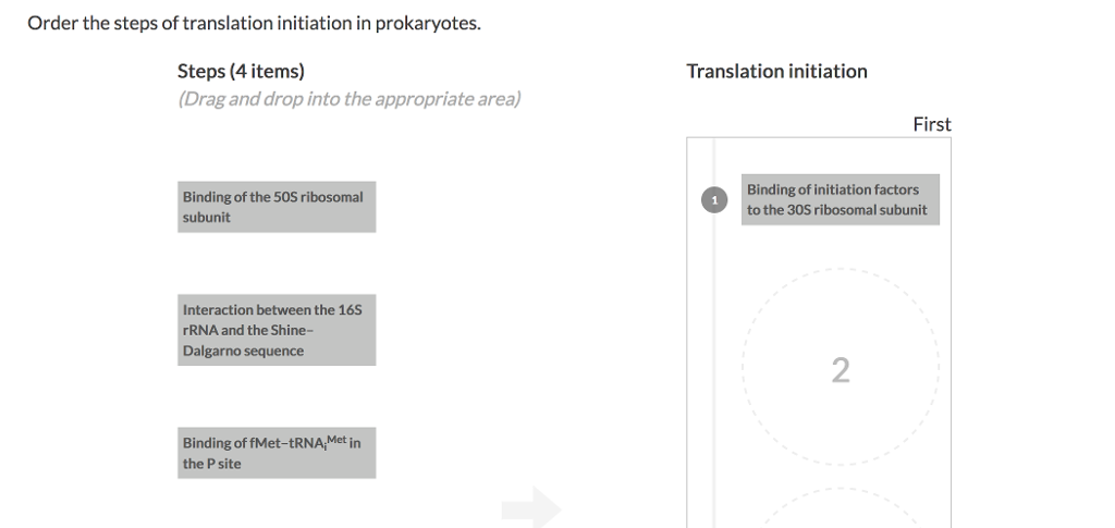 Solved Order the steps of translation initiation in | Chegg.com