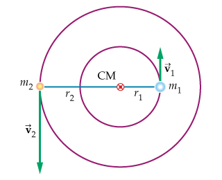 Solved In a binary star system, two stars orbit about their | Chegg.com