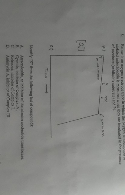 8. Below is an oxygen electrode trace in which the | Chegg.com