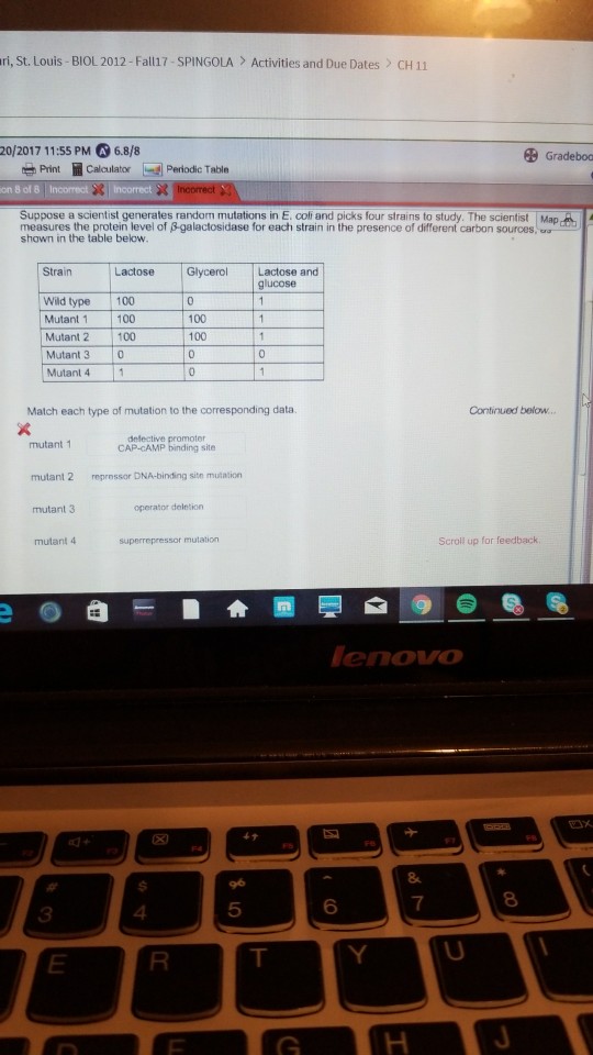 Solved Suppose a scientist generates random mutations In E, | Chegg.com
