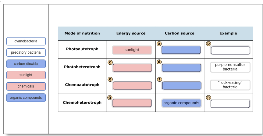 Solved Drag the labels onto this table about prokaryotic | Chegg.com