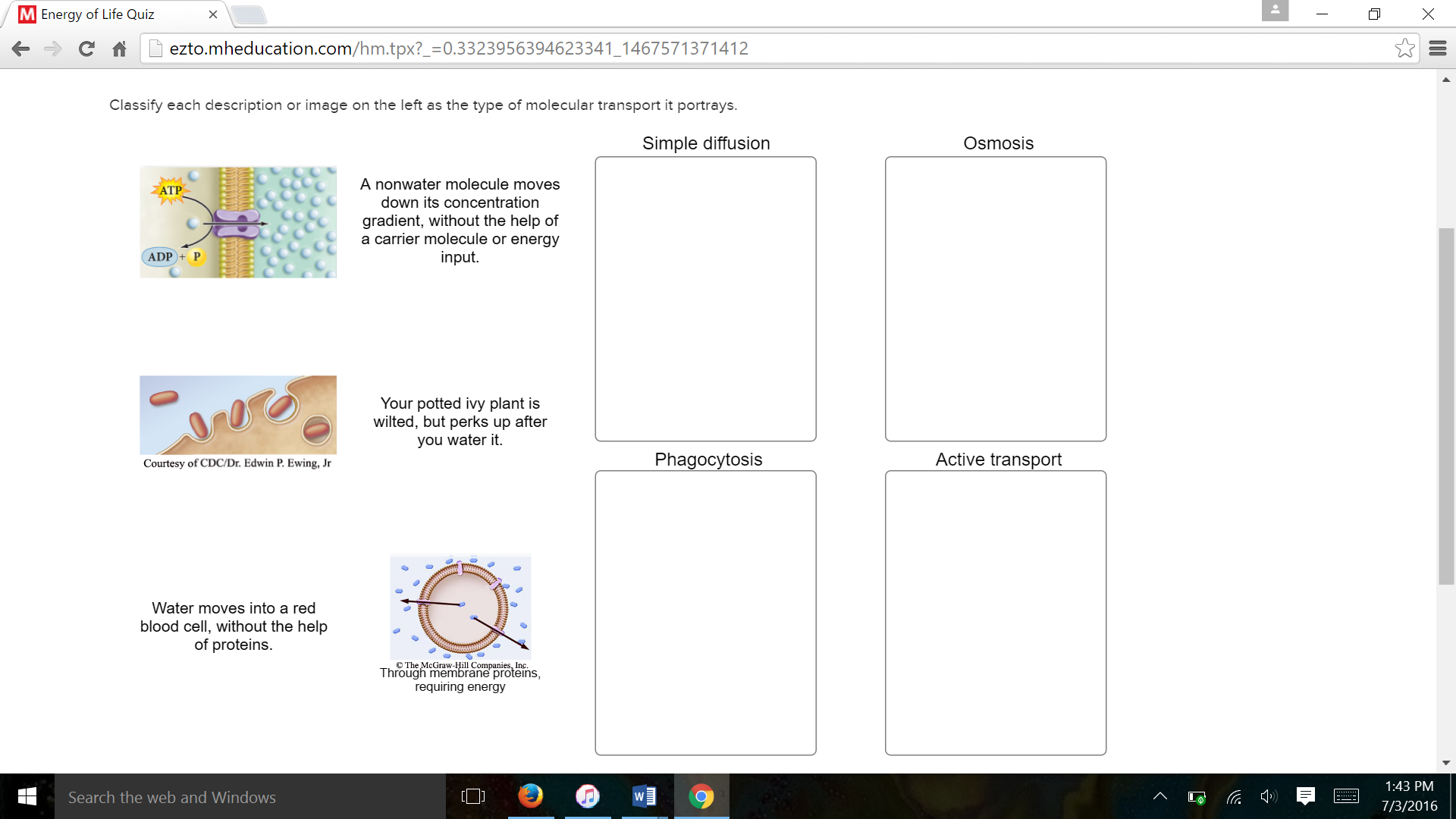 Solved Classify Each Description Or Image On The Left As The 