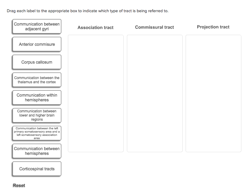 Solved Drag each label to the appropriate box to indicate | Chegg.com
