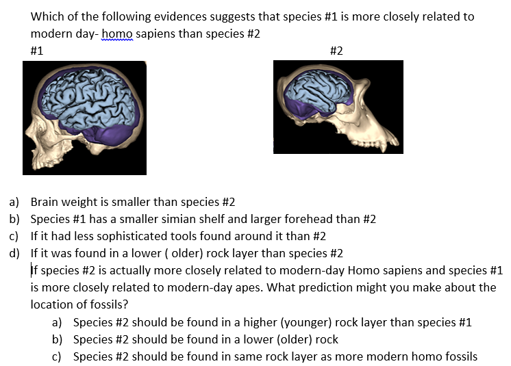Solved Which of the following evidences suggests that | Chegg.com