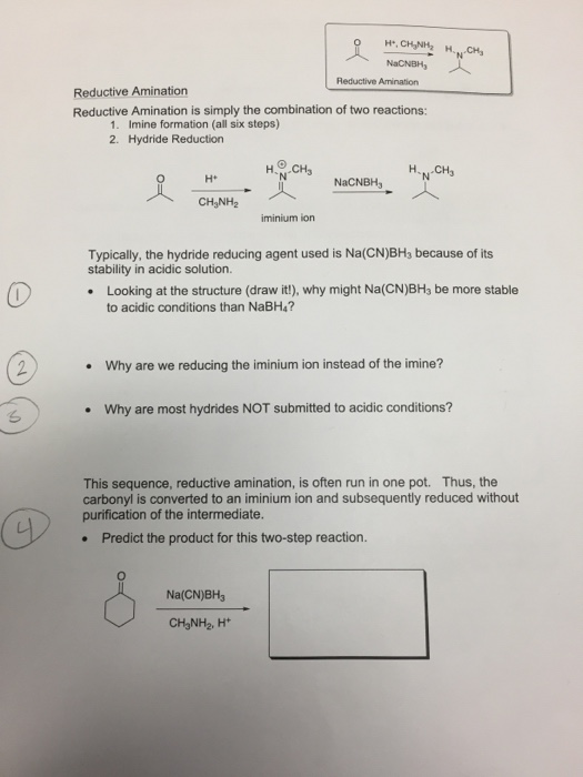 Solved Reductive Amination is simply the combination of two | Chegg.com