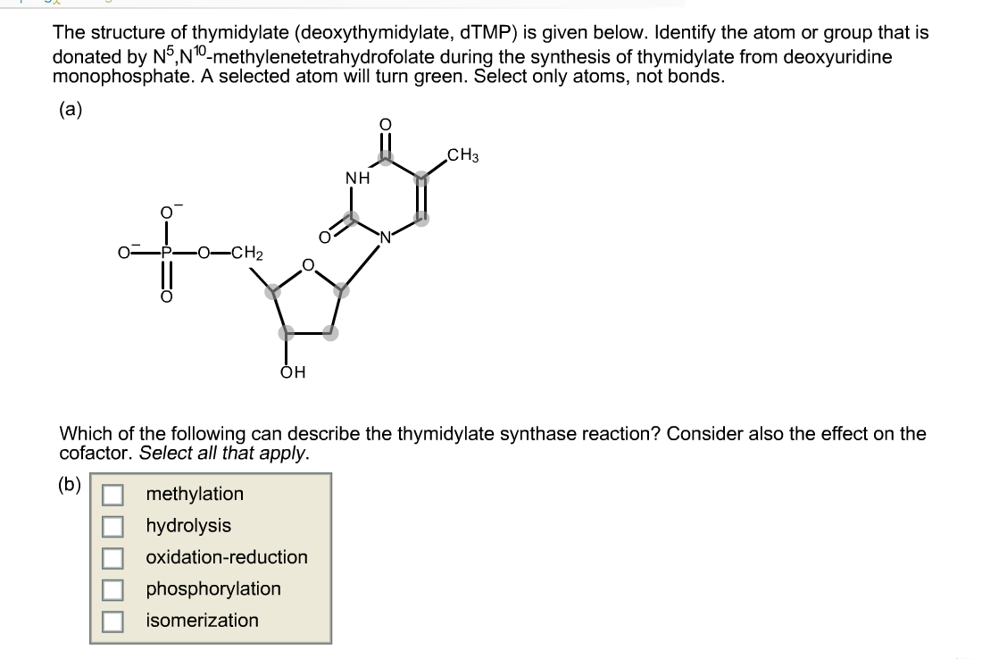 Solved The structure of thymidylate (deoxythymidylate, dTMP) | Chegg.com