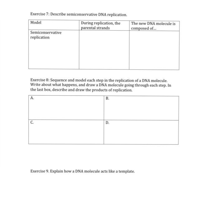 Solved Describe semiconservative DNA replication. Sequence | Chegg.com