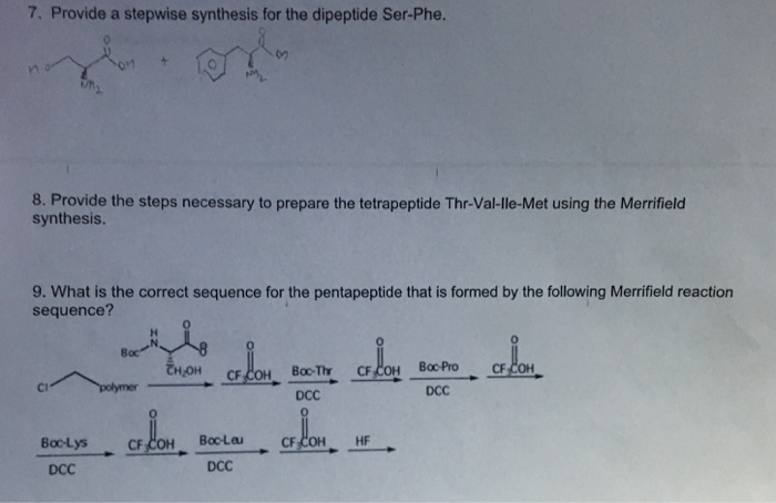 Solved Provide A Stepwise Synthesis For The Dipeptide