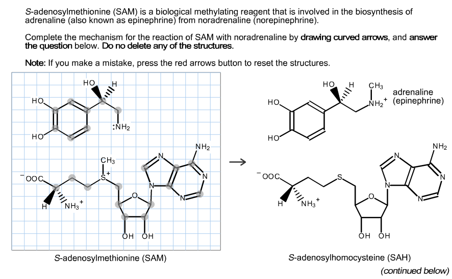 Solved S-adenosylmethionine (SAM) is a biological | Chegg.com