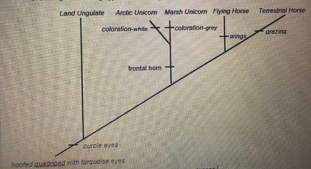 Solved Utilizing the following hypothetical cladogram of | Chegg.com