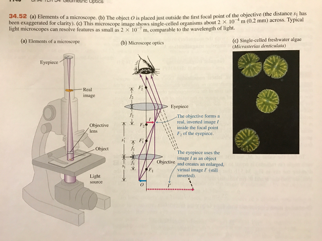 Observe figure 34.52 (b) for a microscope. Design a | Chegg.com