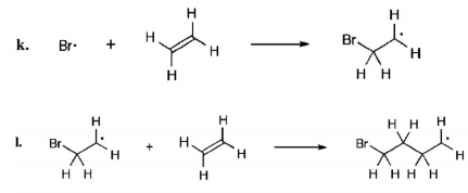 Solved k. Br+ l. Br | Chegg.com