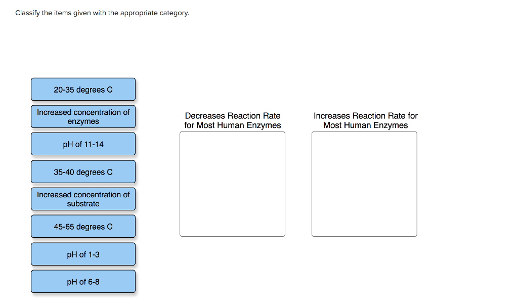 Solved Classify The Items Given With The Appropriate