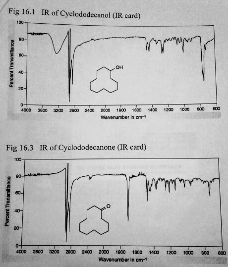 Solved Fig 16.1 IR of Cyclododecanol (IR card) 100 90- OH | Chegg.com