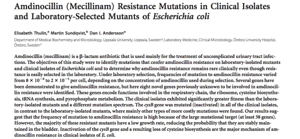 Solved Knowing that Amdinocillin is a Beta-lactam antibiotic | Chegg.com