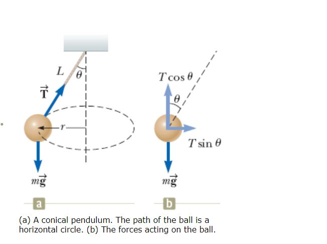 Solved T cos θ , Tsin θ mg mg (a) A conical pendulum. The | Chegg.com