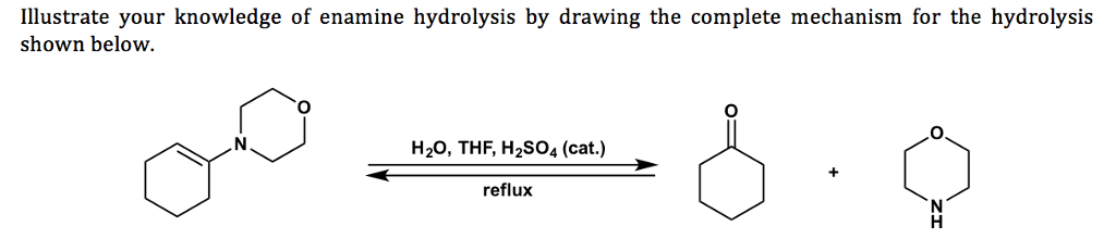 Solved Illustrate your knowledge of enamine hydrolysis by | Chegg.com