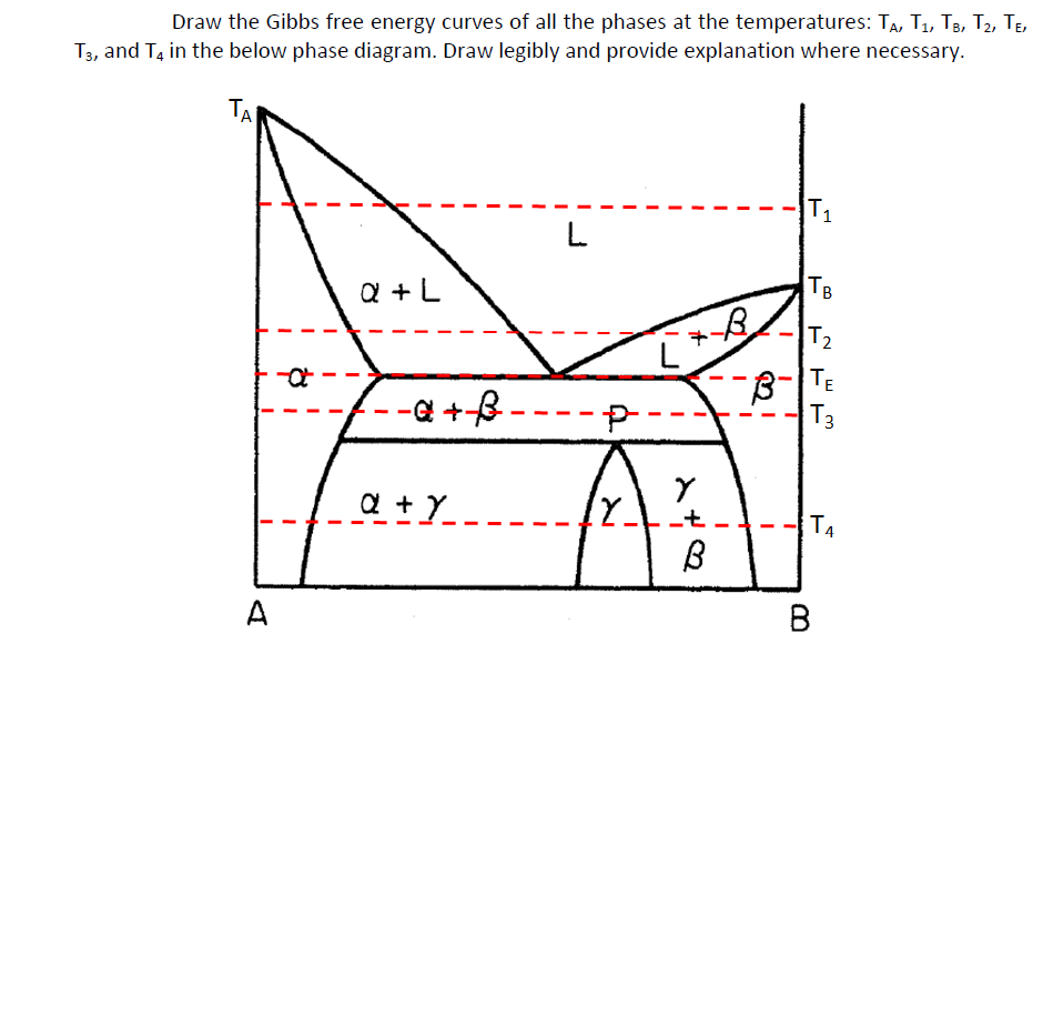 Solved Draw the Gibbs free energy curves of all the phases | Chegg.com