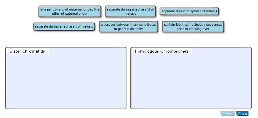 Solved Compare and contrast properties of sister chromatids | Chegg.com