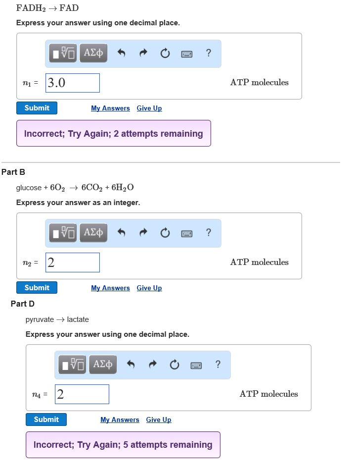 Solved List The Energy Yield In Atp Molecules For Each Of