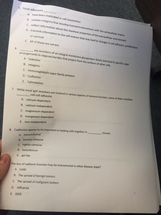 Solved Focal adhesions __________. have been implicated in | Chegg.com
