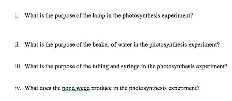 Solved Photosynthesis Experiment Lamp Thermometer Syringe | Chegg.com