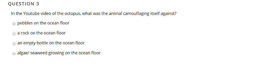 Solved QUESTION 3 In the Youtube video of the octopus, what | Chegg.com