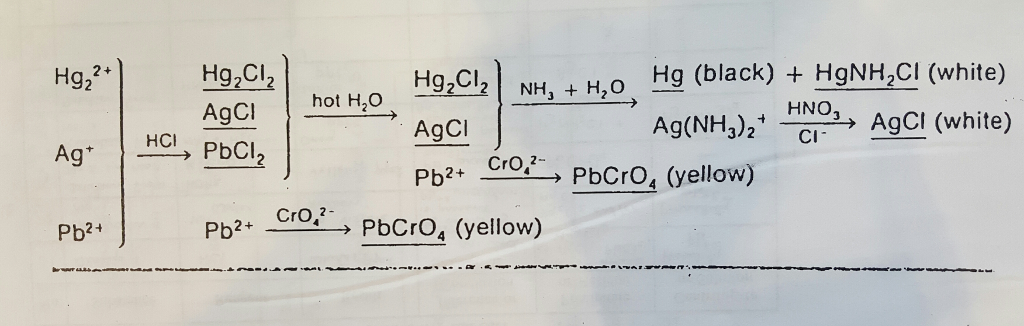 Hg2 Ag Pb2+ HoaCI NH, H, O Hg (black) HgNH,CI (white) | Chegg.com