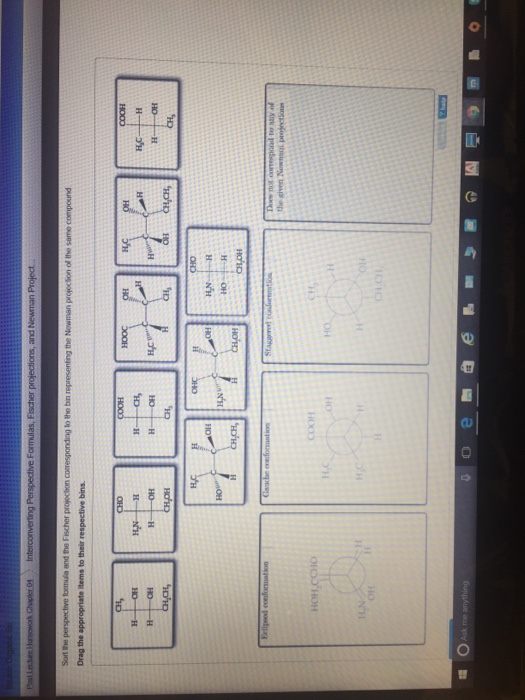 Solved Sort the perspective formula and the Fischer | Chegg.com