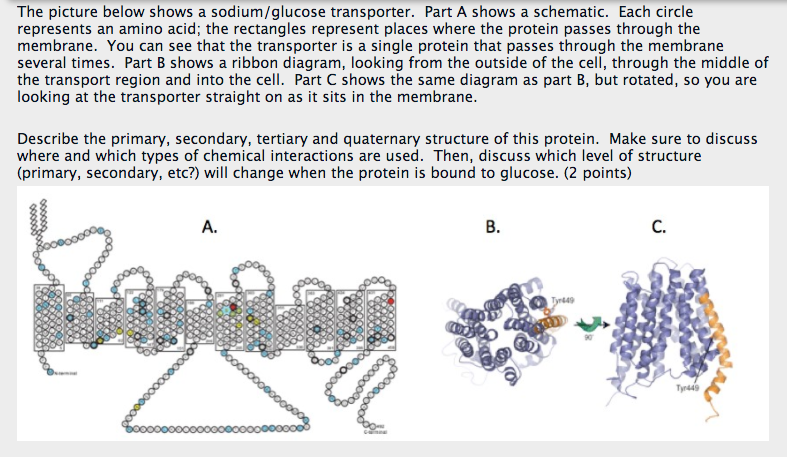 Biology Archive | August 29, 2017 | Chegg.com