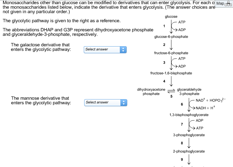Solved Monosaccharides other than glucose can be modified to | Chegg.com