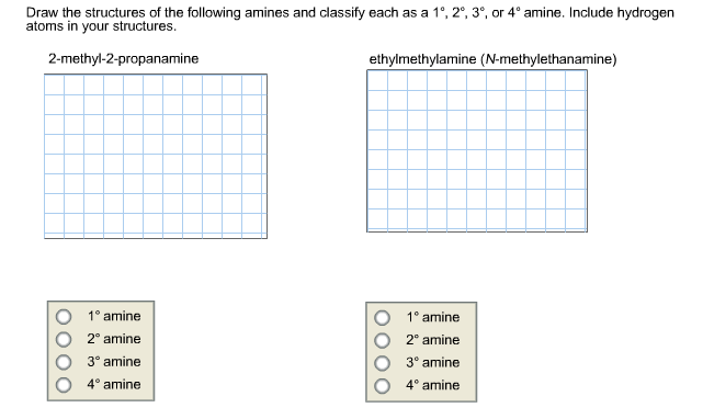 Solved Draw the structures of the following amines and | Chegg.com