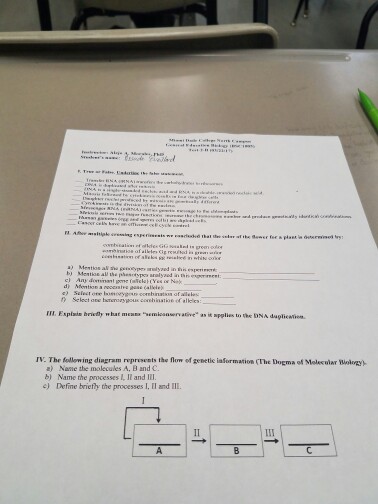 Solved Explain what IV. The ing diagram the flow of genetic | Chegg.com
