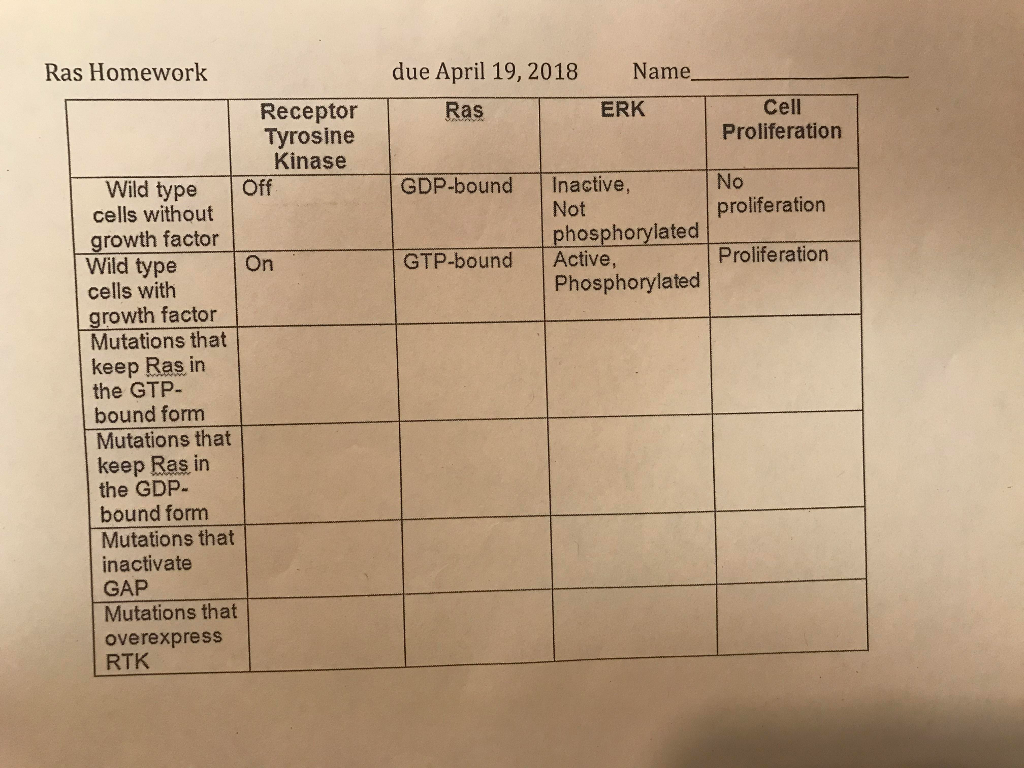 Solved Ras Homework due April 19, 2018 Name. Ras ERK | Chegg.com