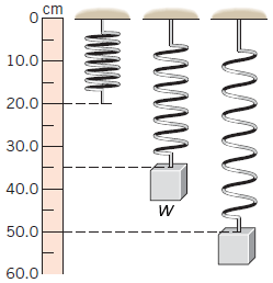 Solved The drawing shows three identical springs hanging | Chegg.com