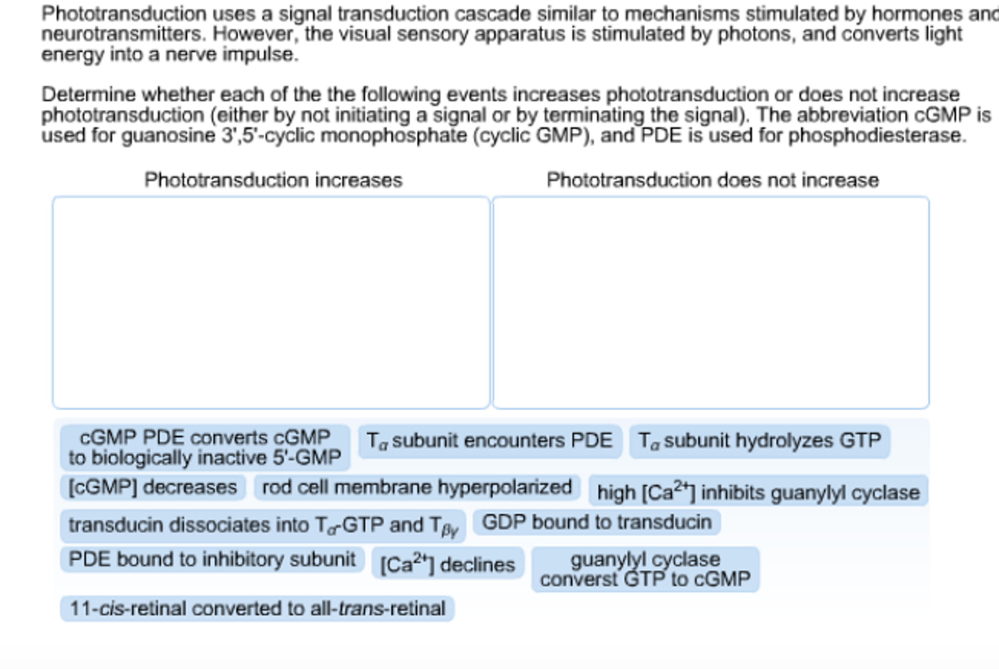 Solved Phototransduction uses a signal transduction cascade | Chegg.com