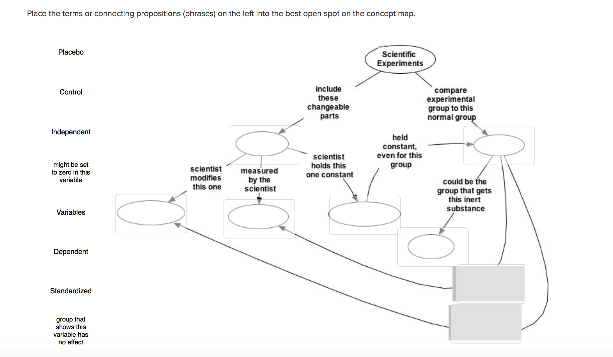 Solved Place the terms or connecting propositions (phrases) | Chegg.com