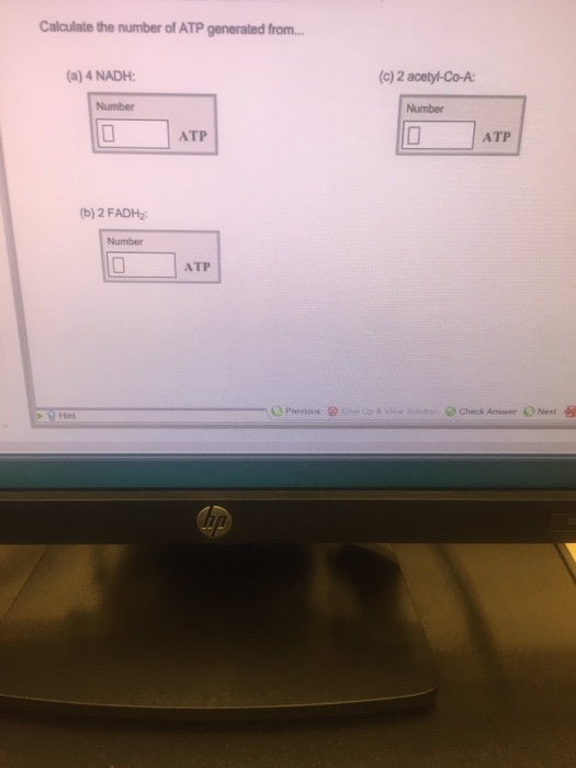 Solved Calculate the number of ATP generated from.. (a) 4 | Chegg.com