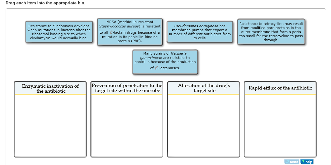 Solved Drag each item into the appropriate bin. | Chegg.com