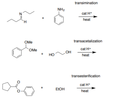 Solved transimination NH2 cat H+ heat OMe transacetalization | Chegg.com