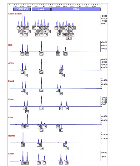 6. The partial DNA profile for the Blackett family is | Chegg.com