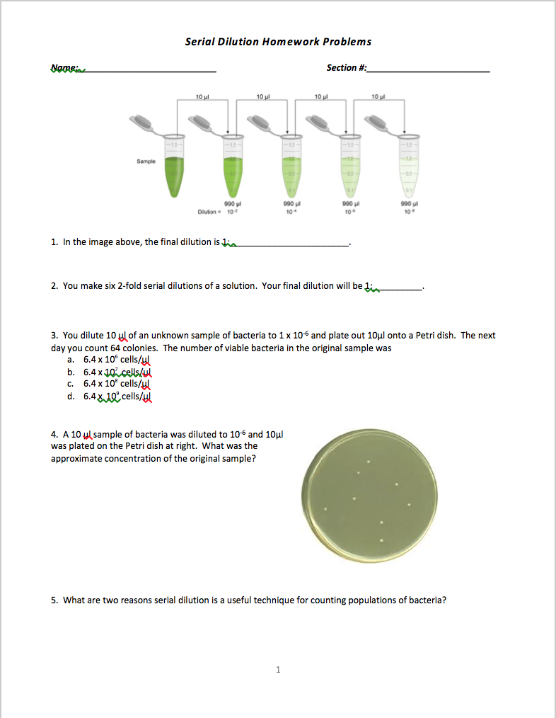 Solved 1. In the image above, the final dilution is 1: 2. | Chegg.com