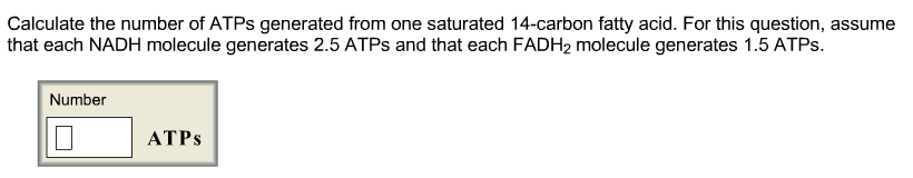 Solved Calculate the number of ATPs generated from one | Chegg.com