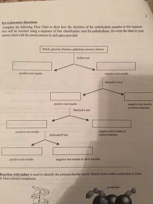 Solved Complete the following Flow Chan to show how the | Chegg.com