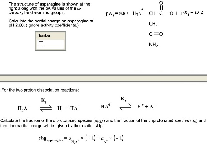 Solved The structure of asparagine is shown at the right | Chegg.com
