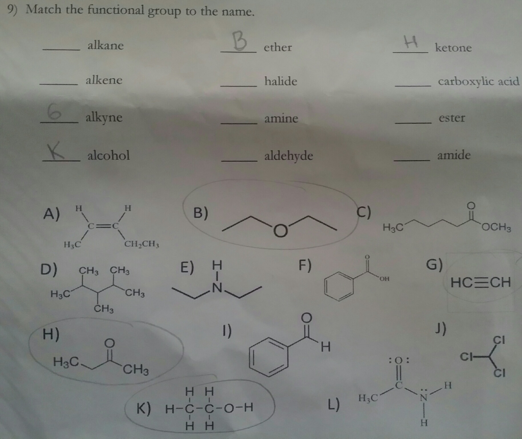 Solved Match the functional group to the name. alkane | Chegg.com